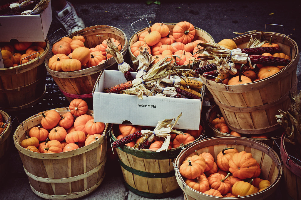 Fall Festivals in Illinois